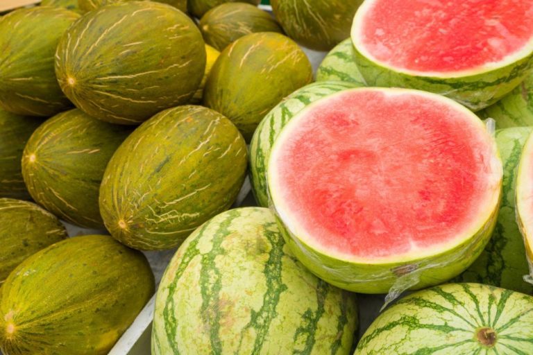 Tipos de sandía: ¿cuáles son algunas variedades comunes de sandía ...